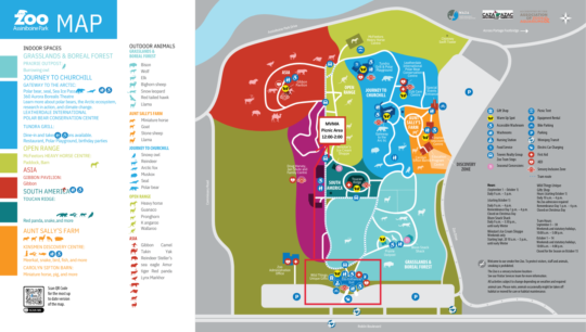 2026 Summer Family Fun Day - MVMA
