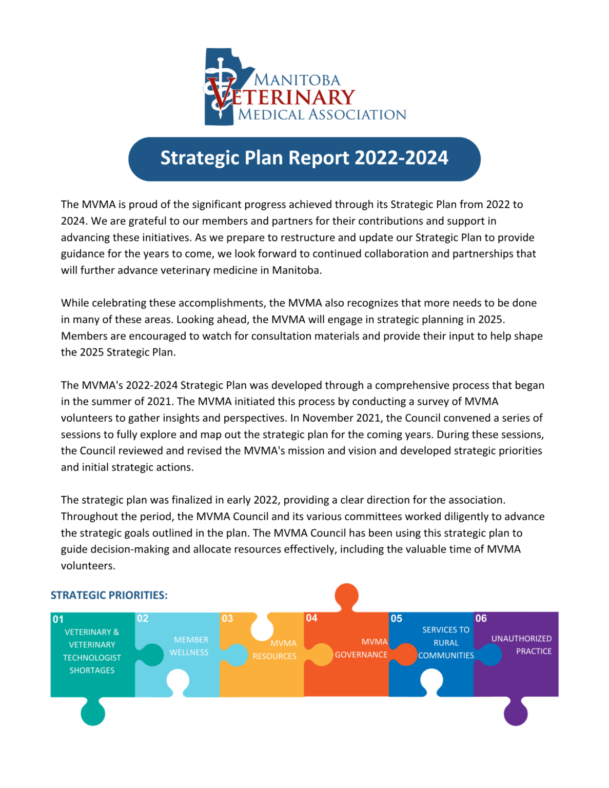 Strategic Plan Report - MVMA